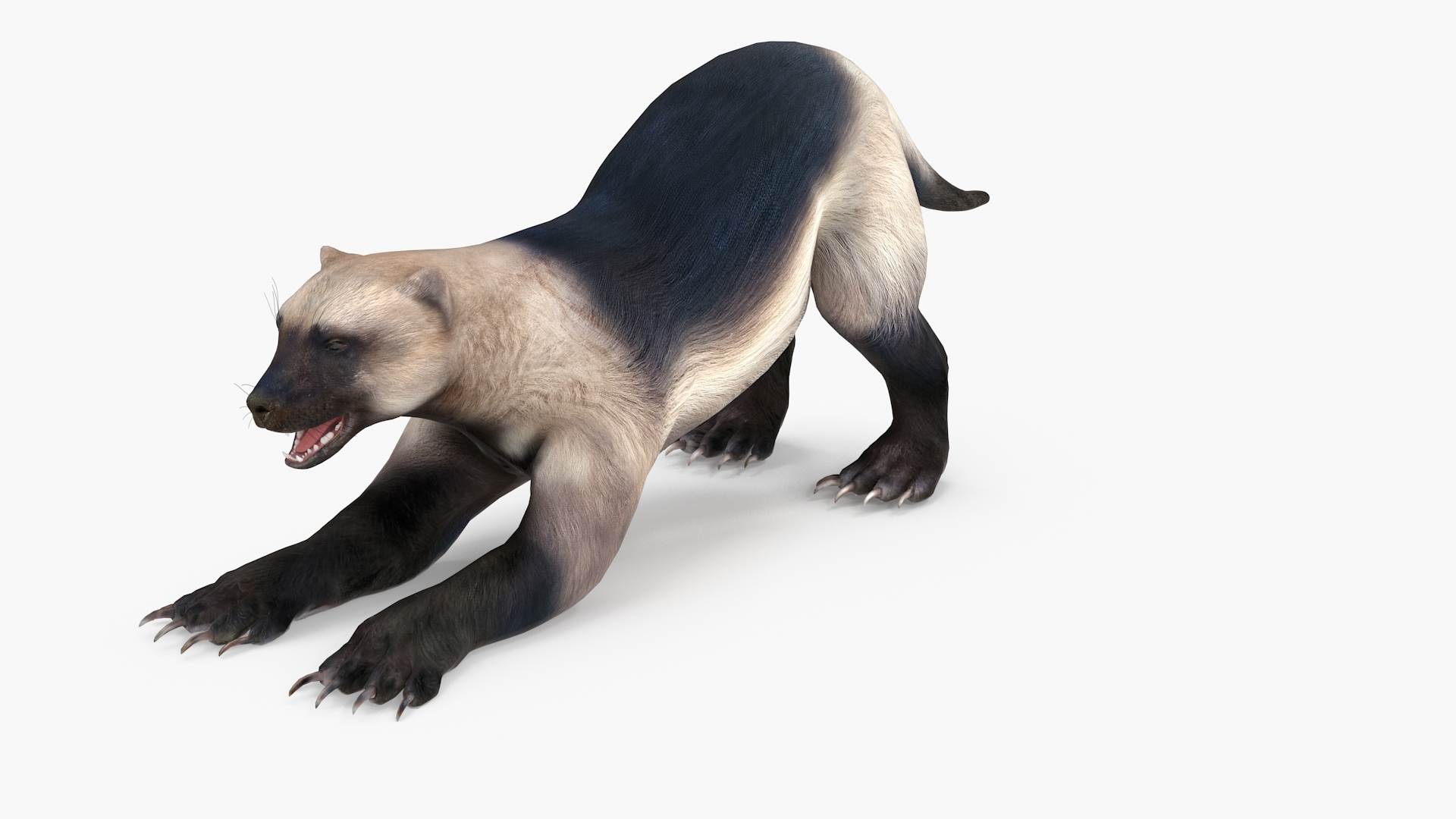 Wolverine Prepares Attack Pose Model - TurboSquid 2131650