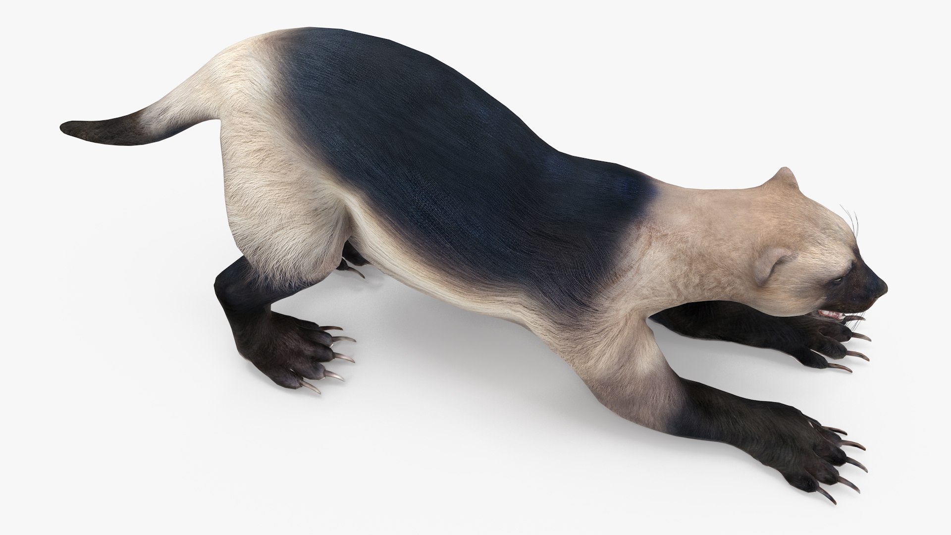 Wolverine Prepares Attack Pose Model - TurboSquid 2131650