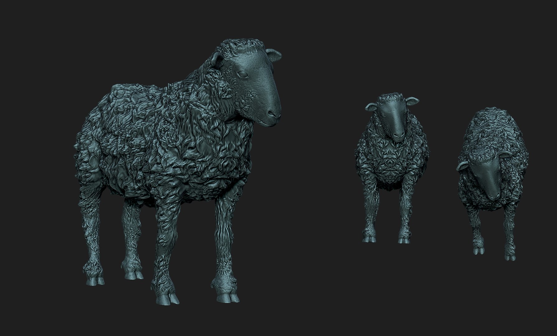 Sheep 3D Model - TurboSquid 2139719