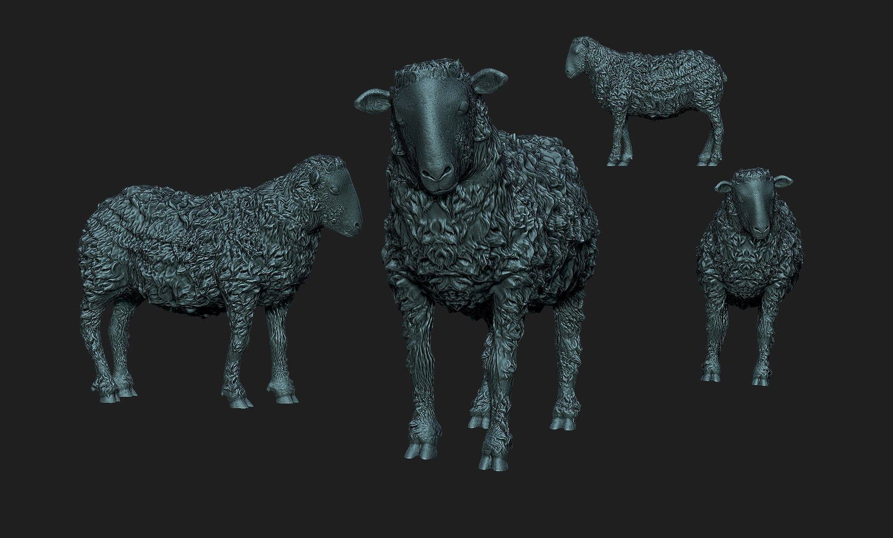 Sheep 3D Model - TurboSquid 2139719