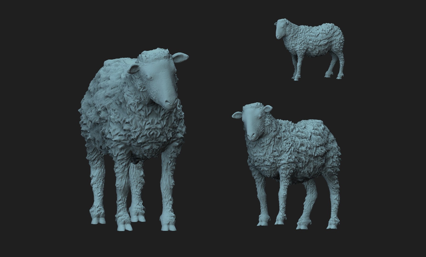 Sheep 3D Model - TurboSquid 2139719