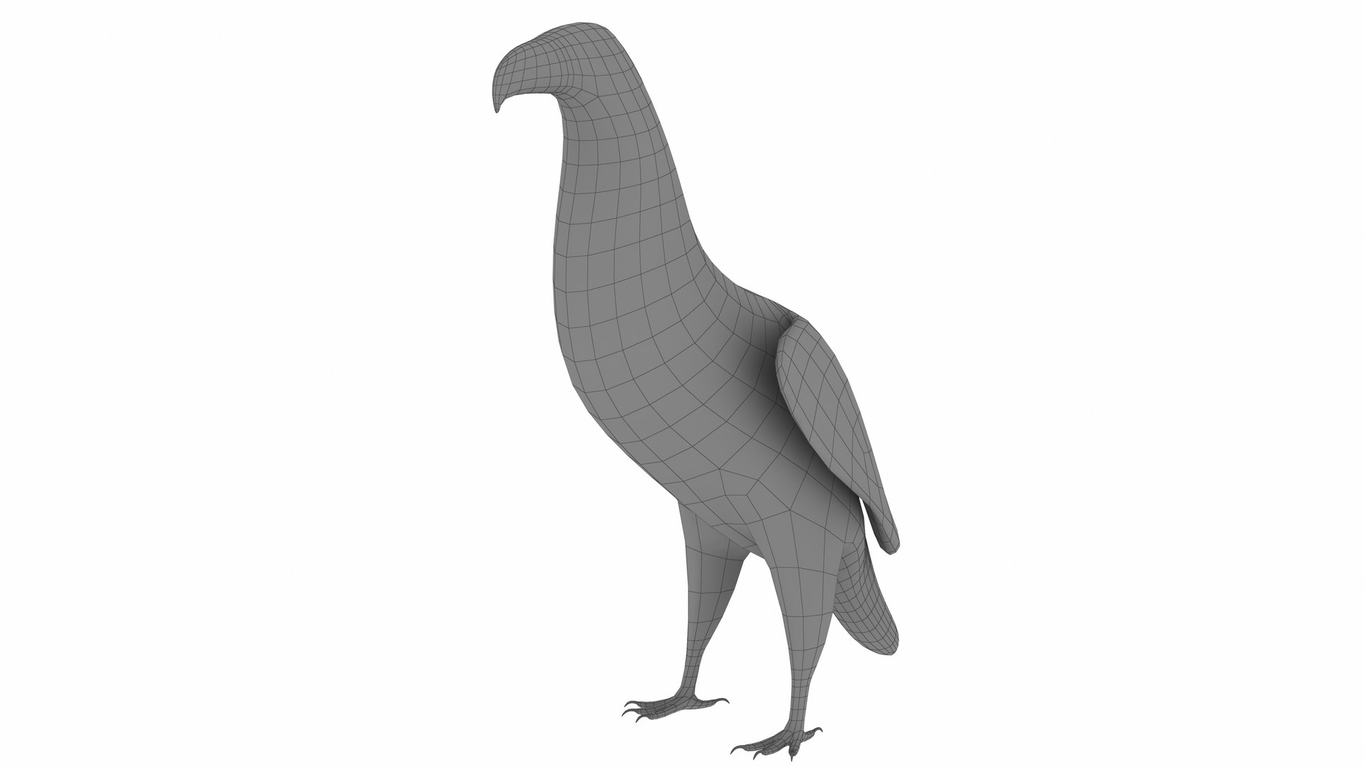 3D Wild Birds 4 In 1 Collection - TurboSquid 2335297