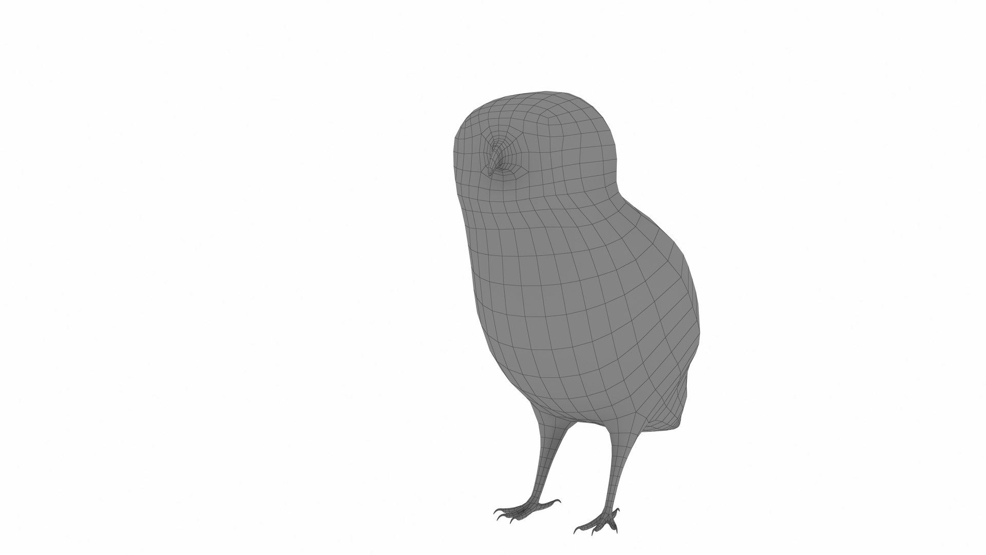 3D Wild Birds 4 In 1 Collection - TurboSquid 2335297