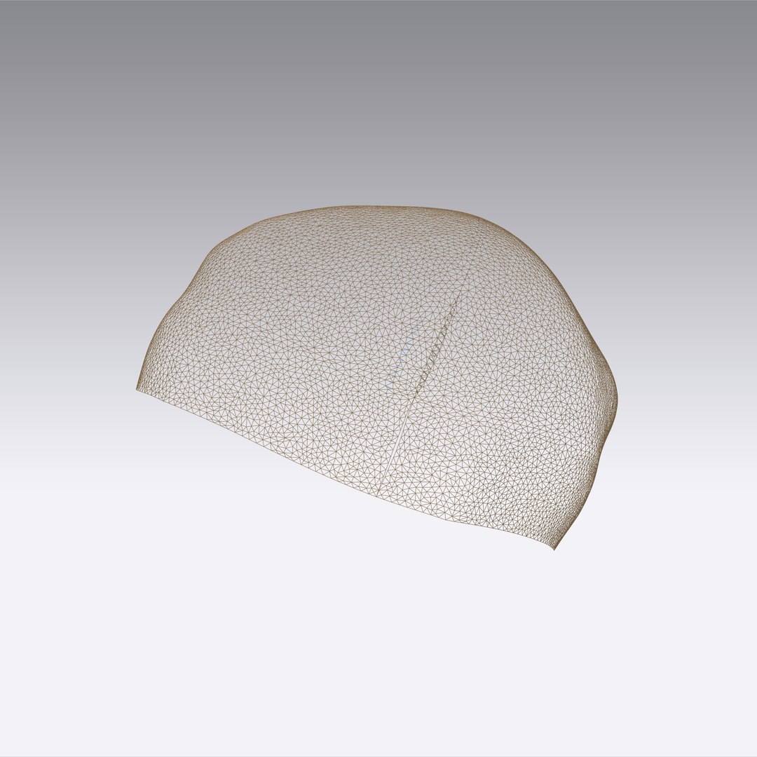 Beanie Hat Unisex Winter Cap Clo3d 3D Model - TurboSquid 2003712