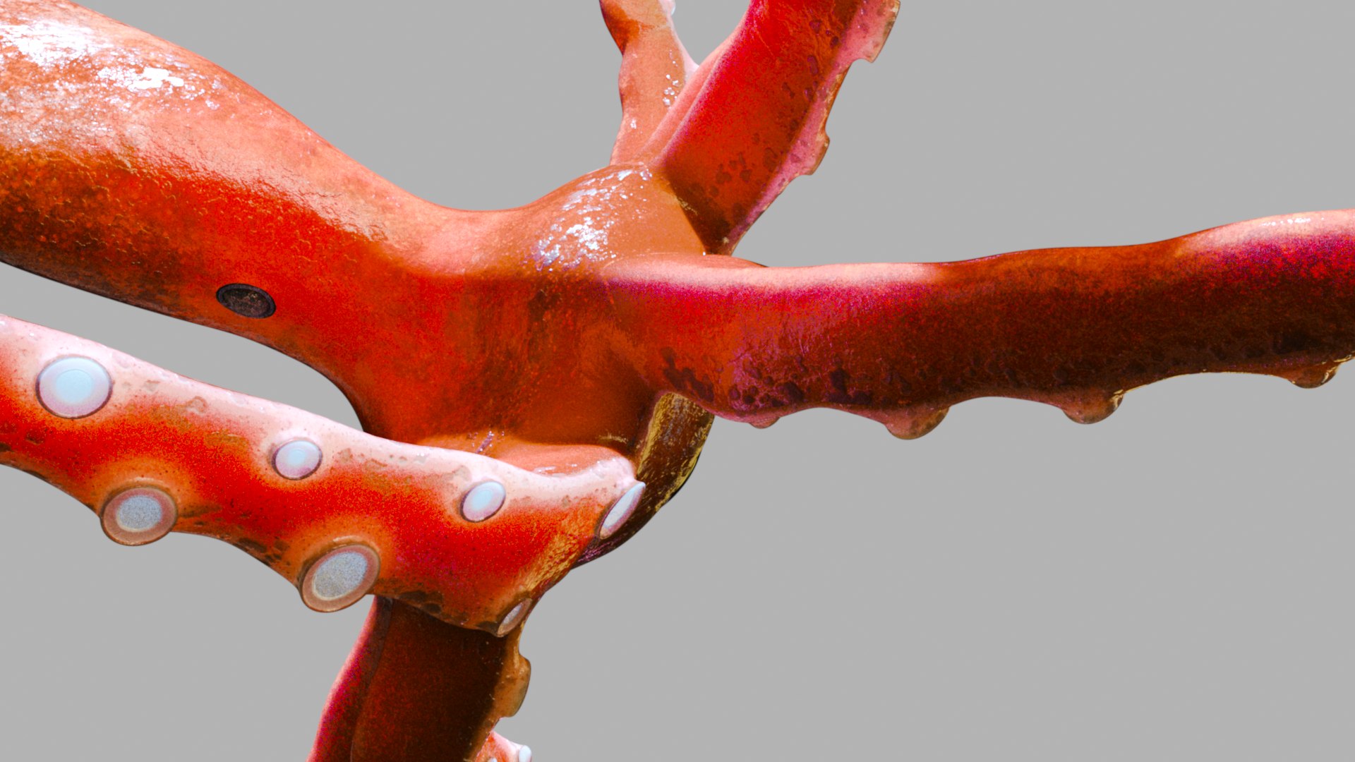 3D Red Alien Squid Rig Model - TurboSquid 2289785