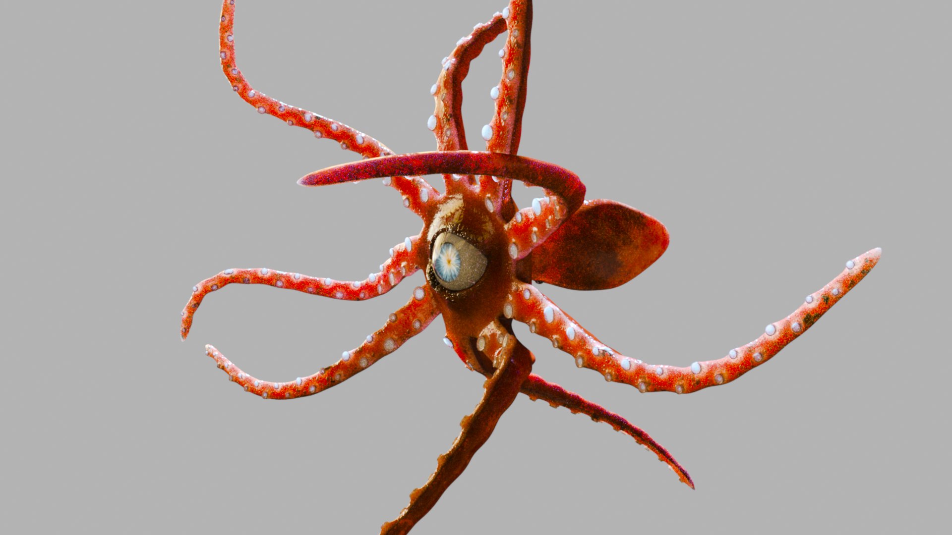 3D Red Alien Squid Rig Model - TurboSquid 2289785