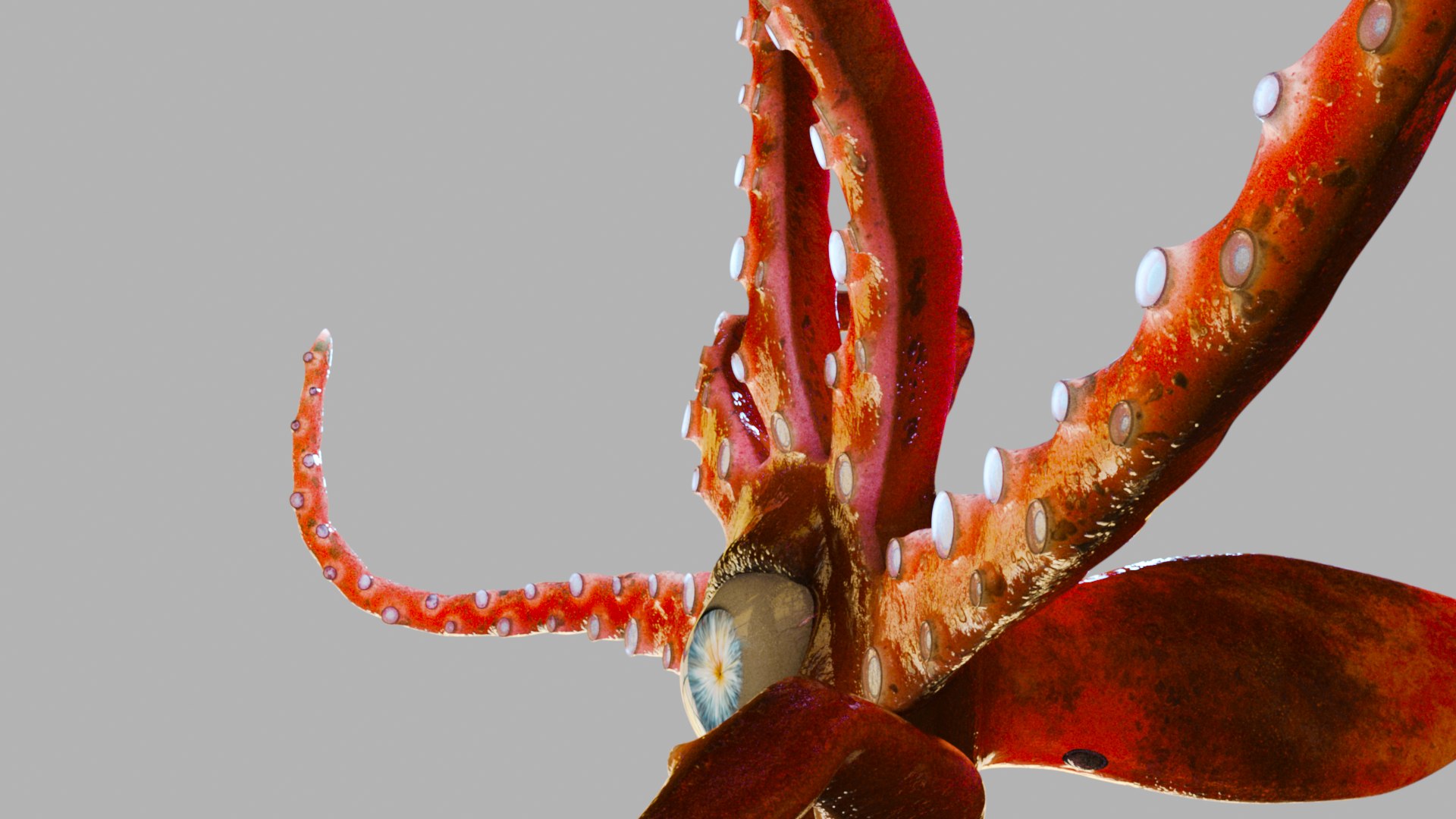 3D Red Alien Squid Rig Model - TurboSquid 2289785