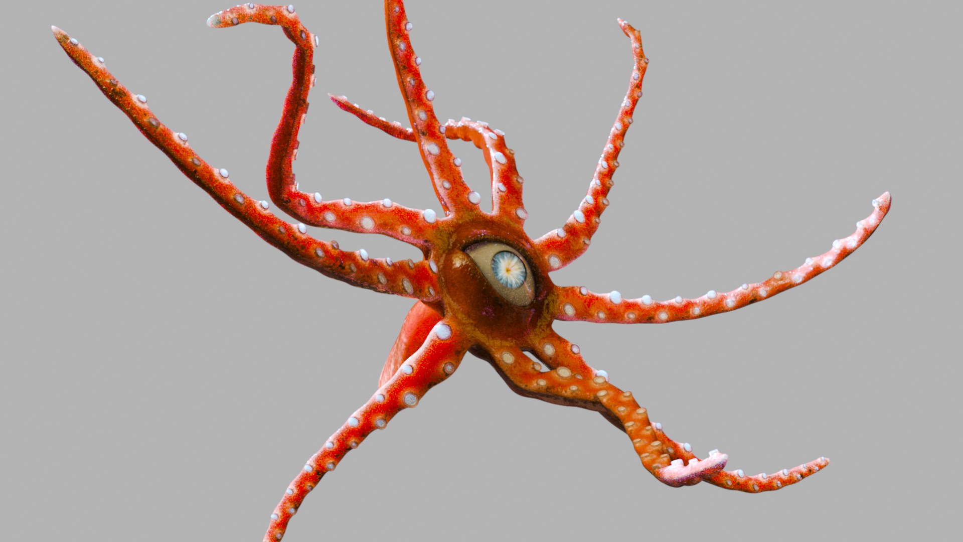 3D Red Alien Squid Rig Model - TurboSquid 2289785
