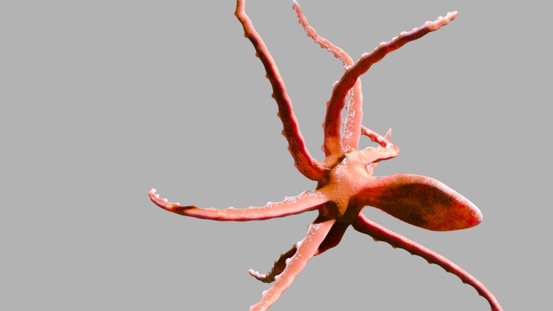 3D Red Alien Squid Rig Model - TurboSquid 2289785