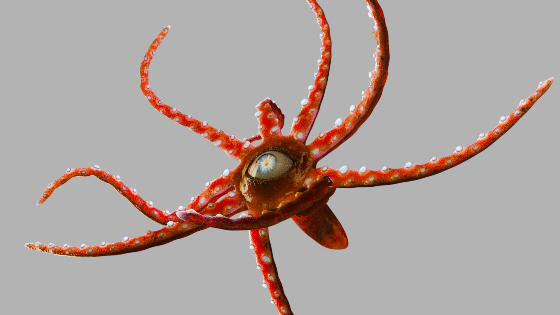 3D Red Alien Squid Rig Model - TurboSquid 2289785