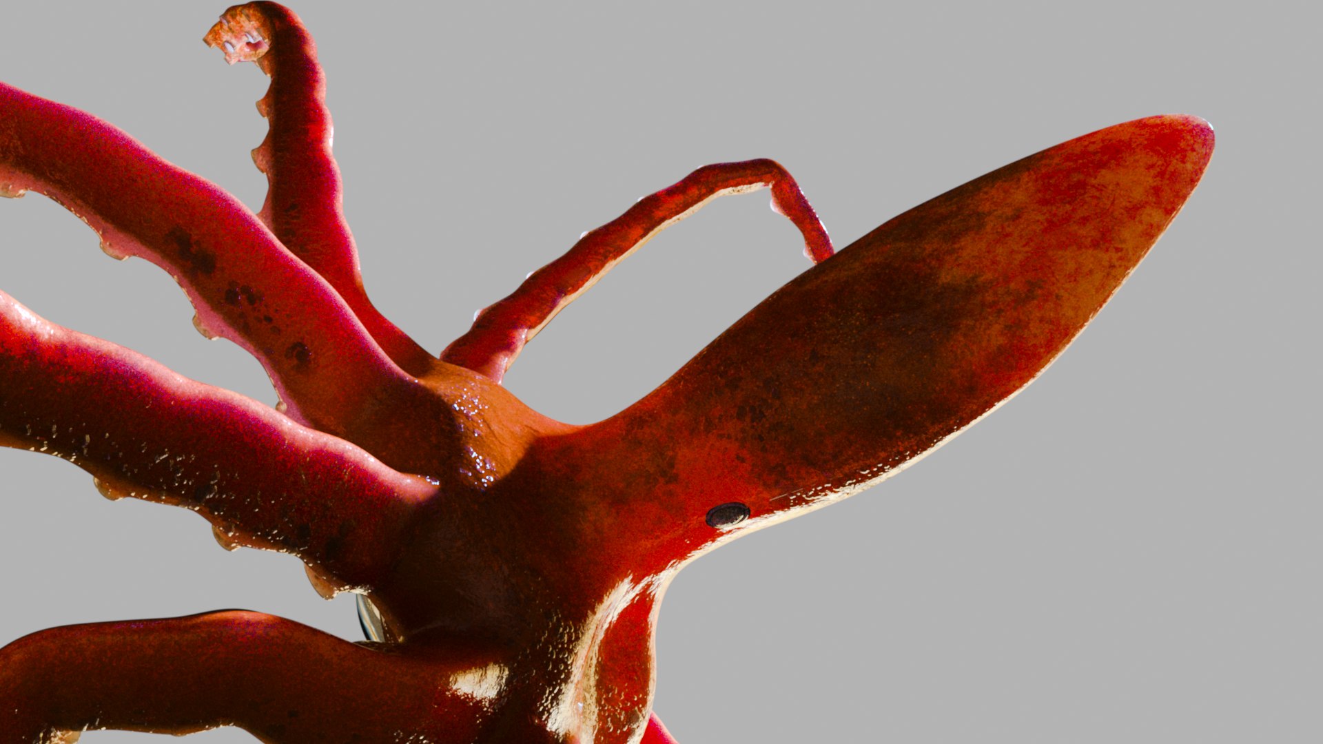 3D Red Alien Squid Rig Model - TurboSquid 2289785