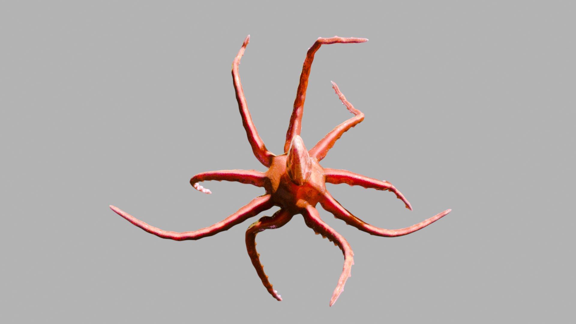 3D Red Alien Squid Rig Model - TurboSquid 2289785