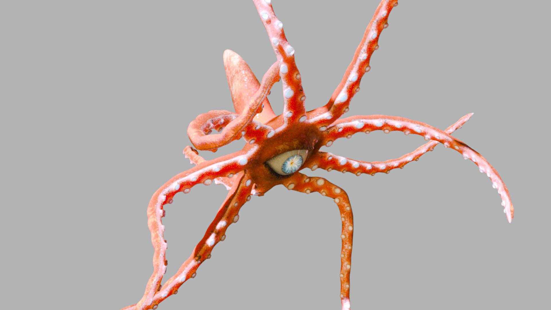 3D Red Alien Squid Rig Model - TurboSquid 2289785