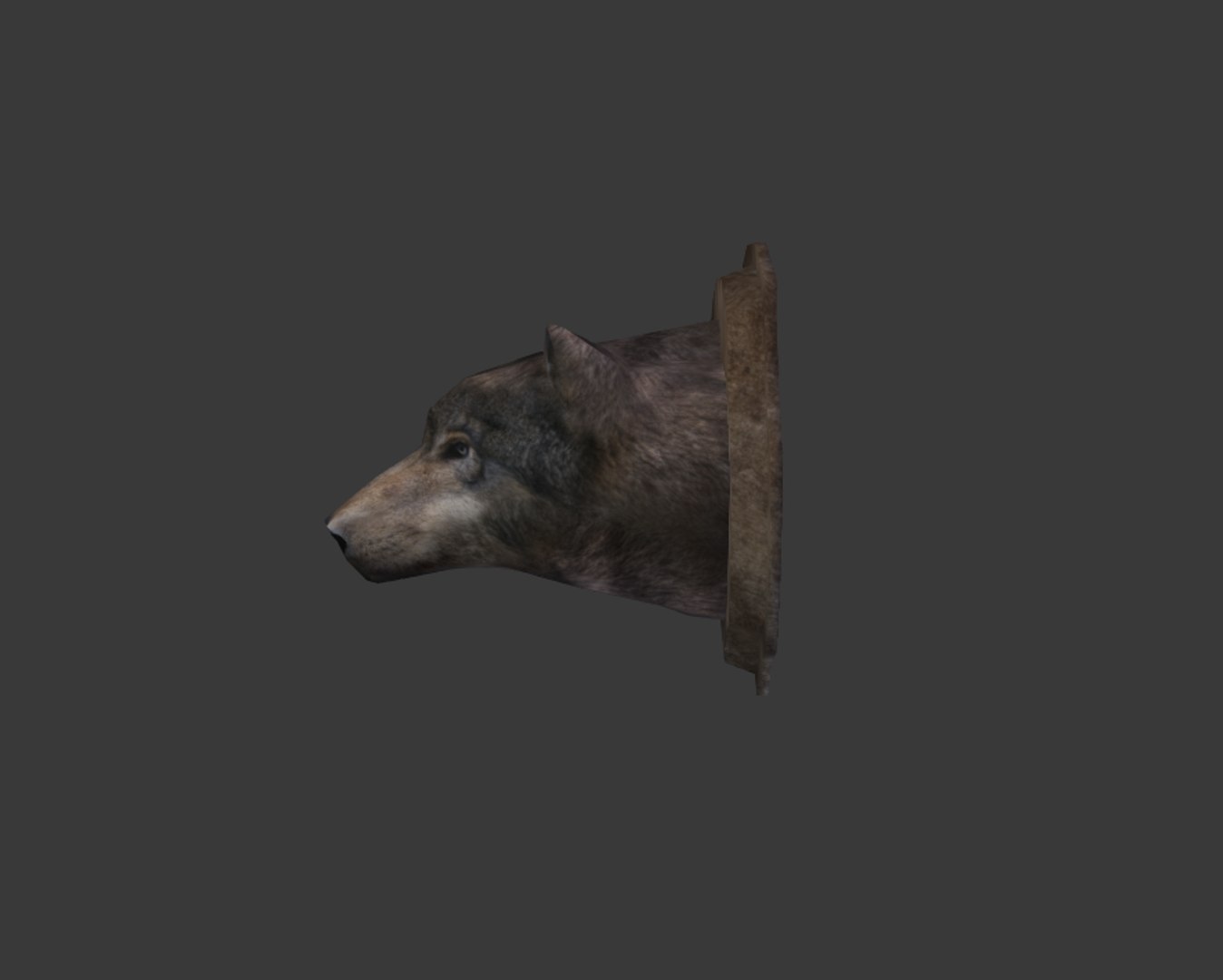 3d wolf trophy model