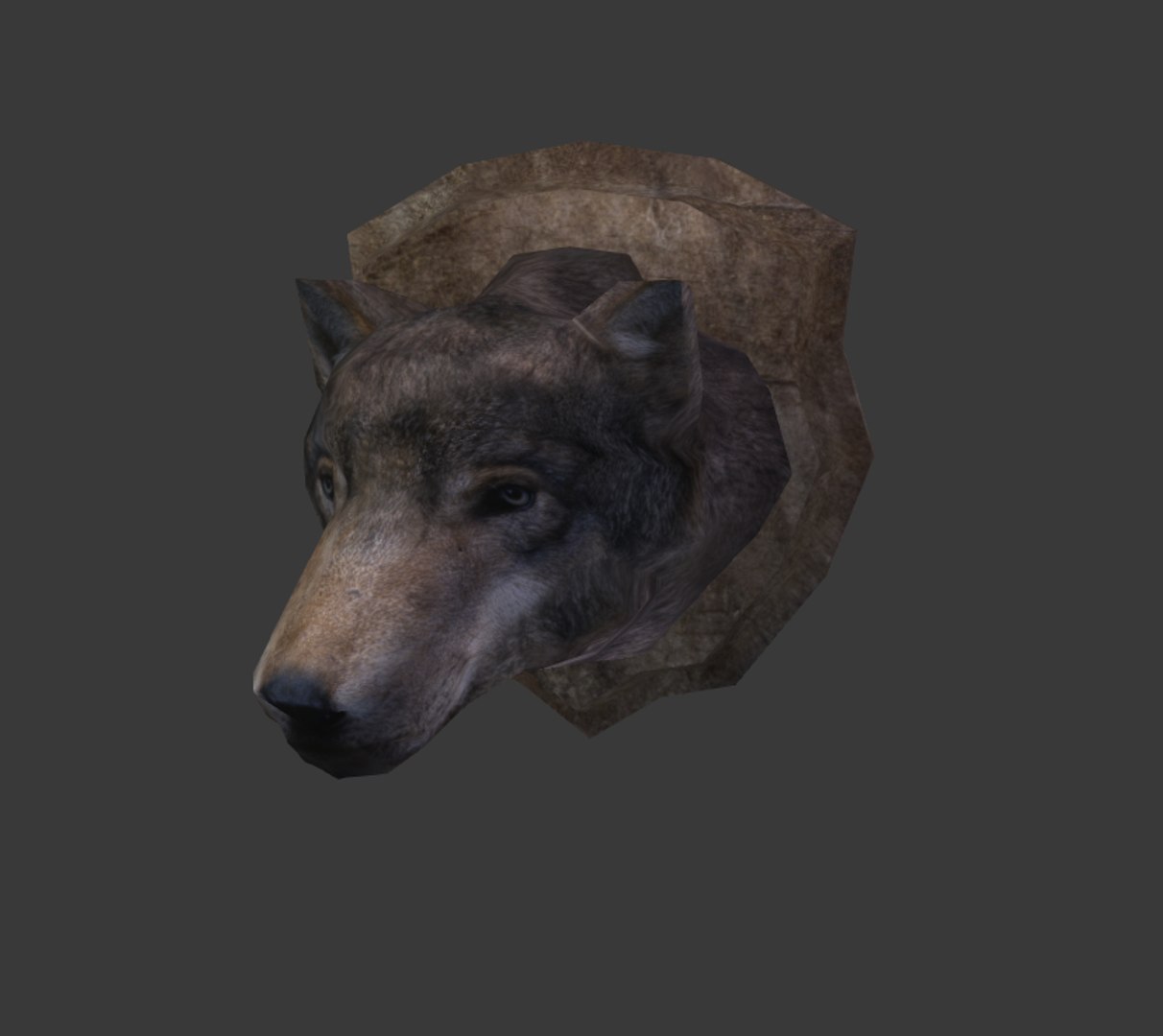 3d wolf trophy model