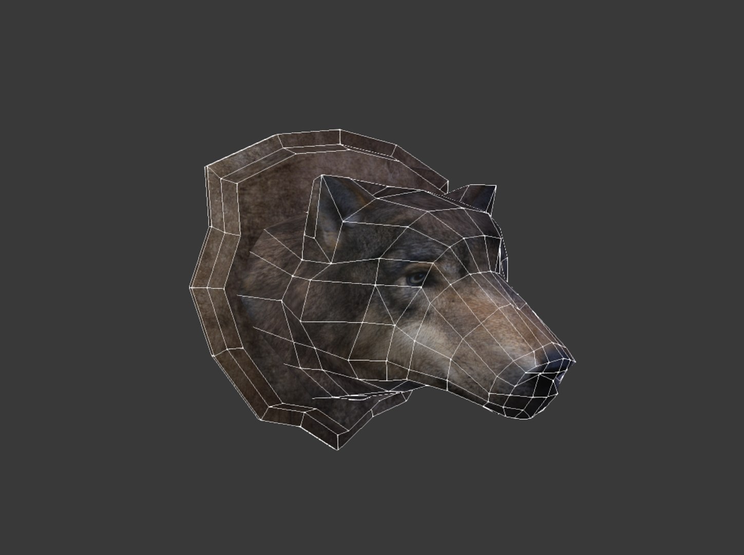 3d wolf trophy model