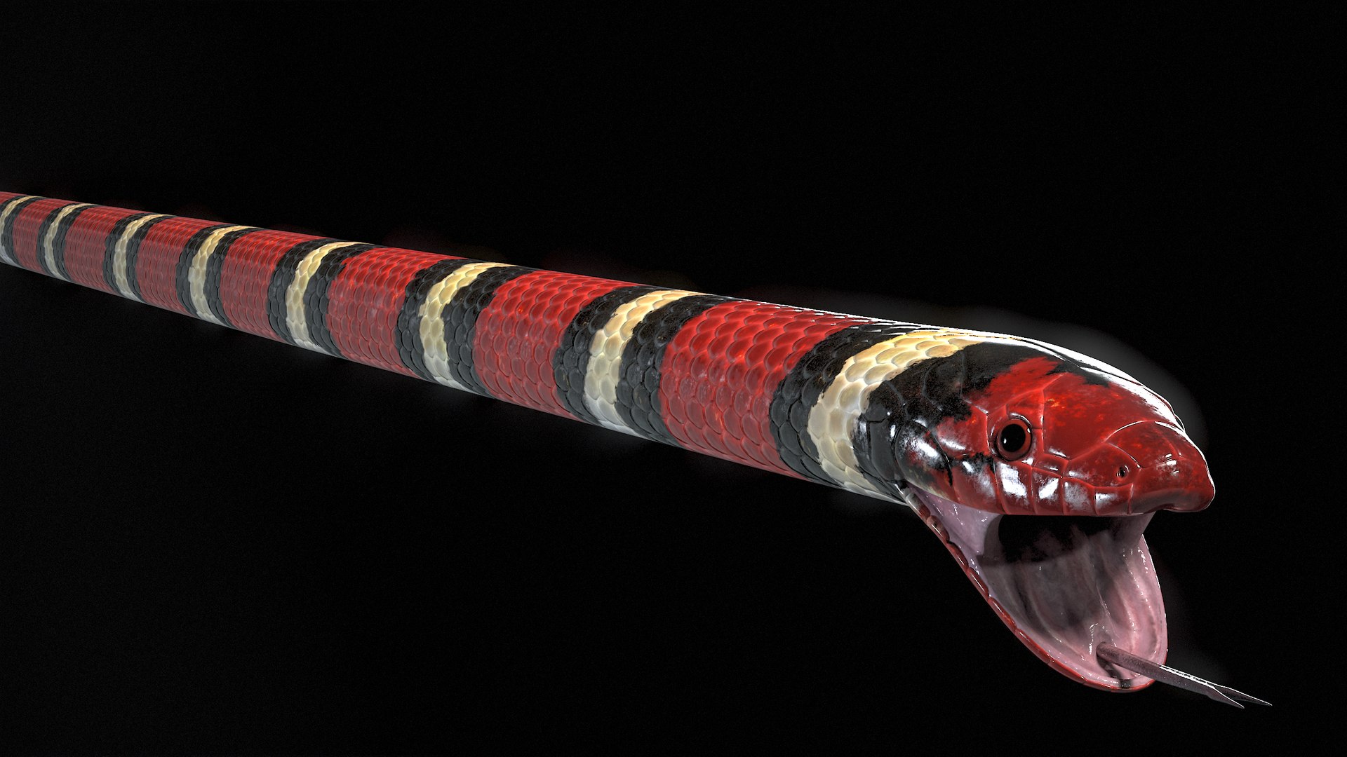 Scarlet Kingsnake PBR 3D model - TurboSquid 2094590