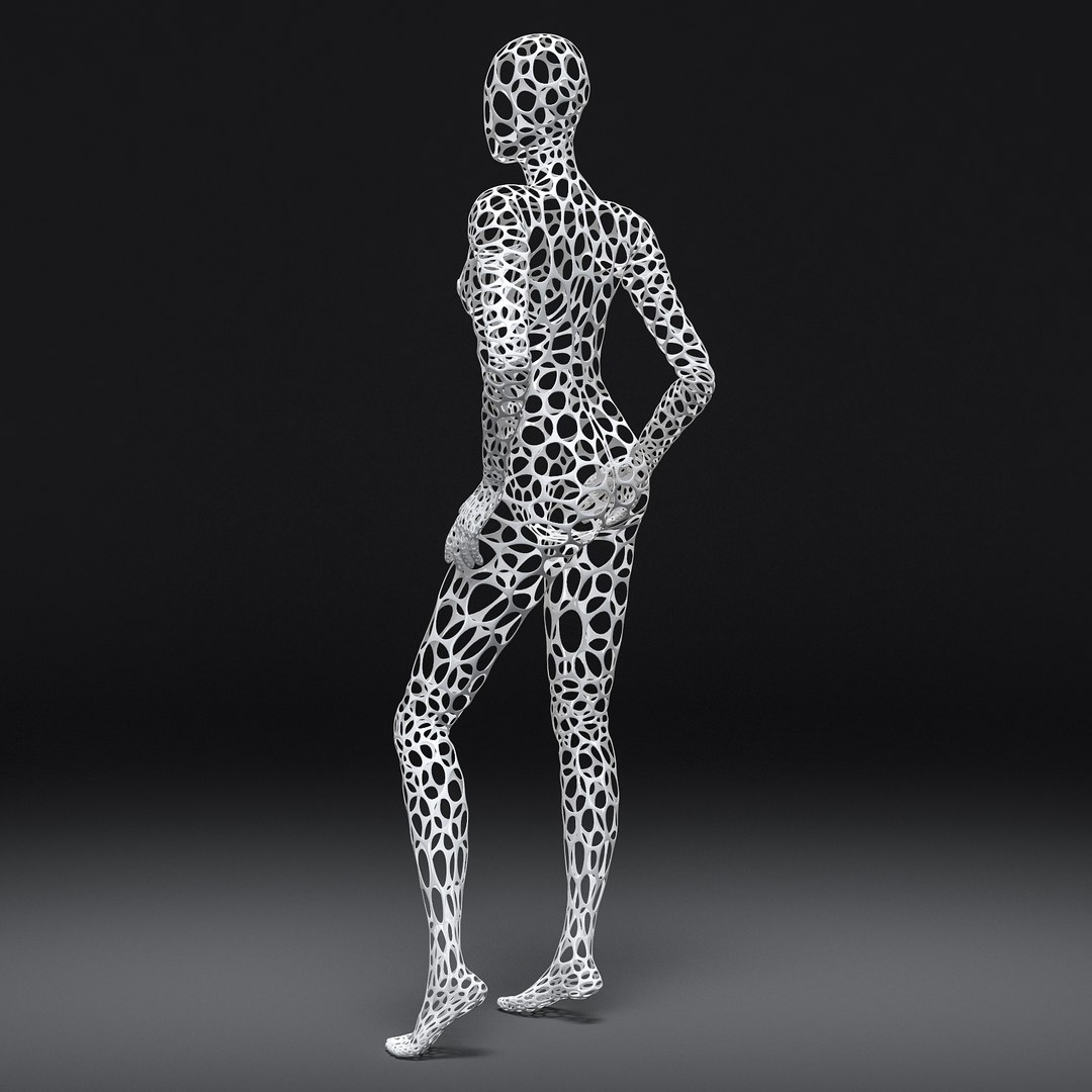 3D Model Female Wire Mannequin - TurboSquid 1173793