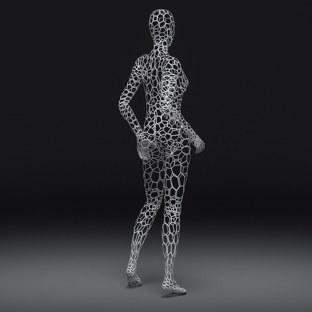 3D Model Female Wire Mannequin - TurboSquid 1173793