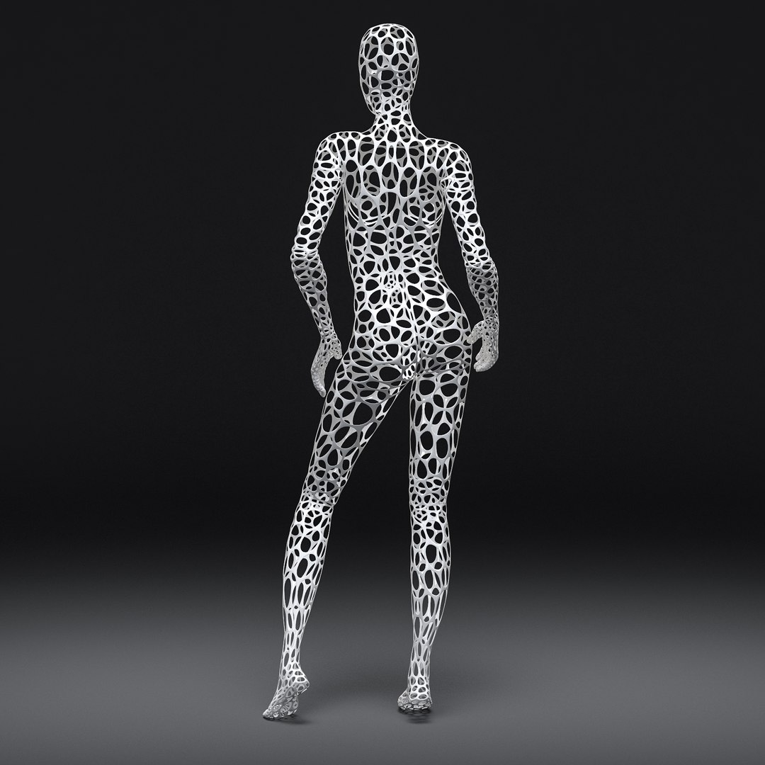 3D Model Female Wire Mannequin - TurboSquid 1173793