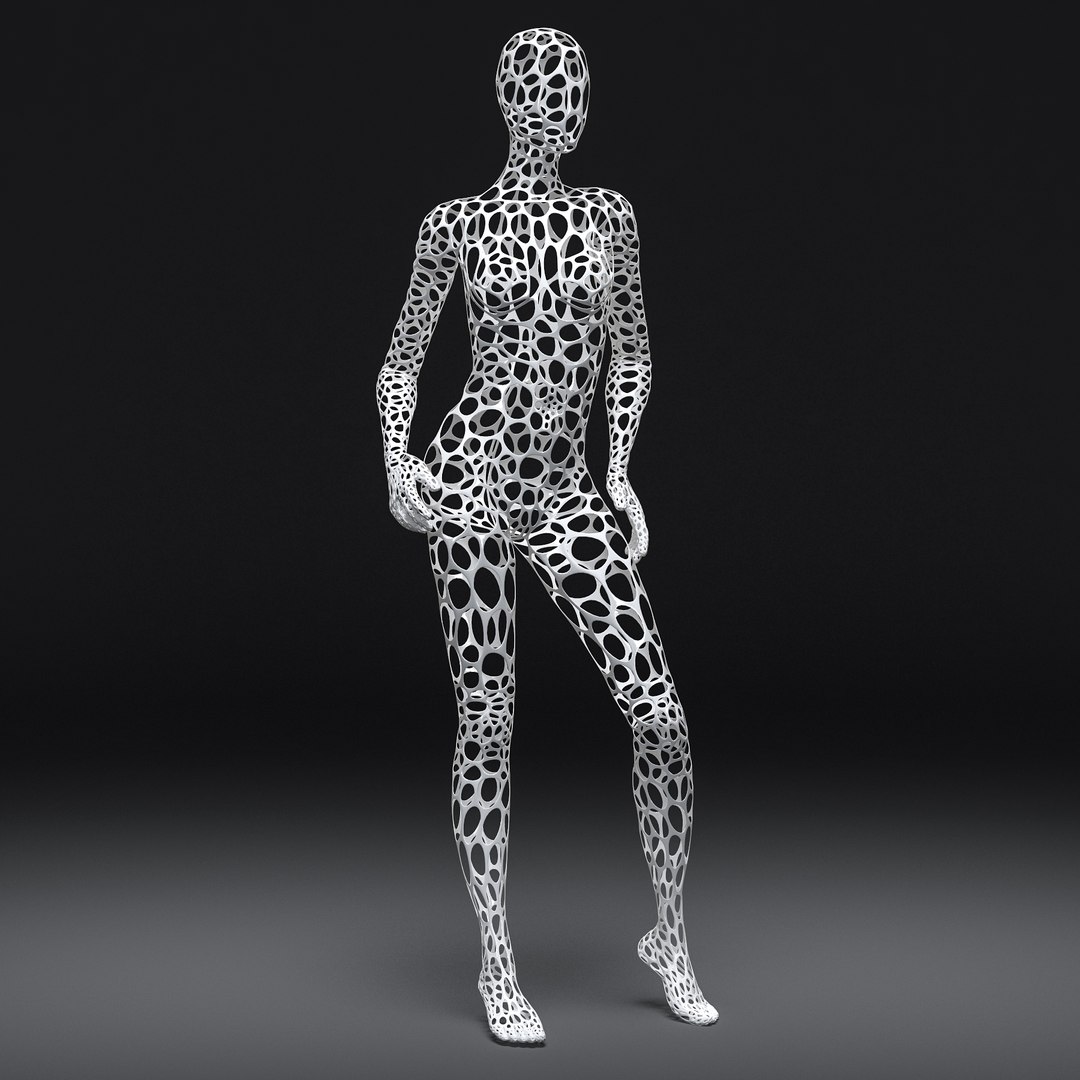 3D Model Female Wire Mannequin - TurboSquid 1173793