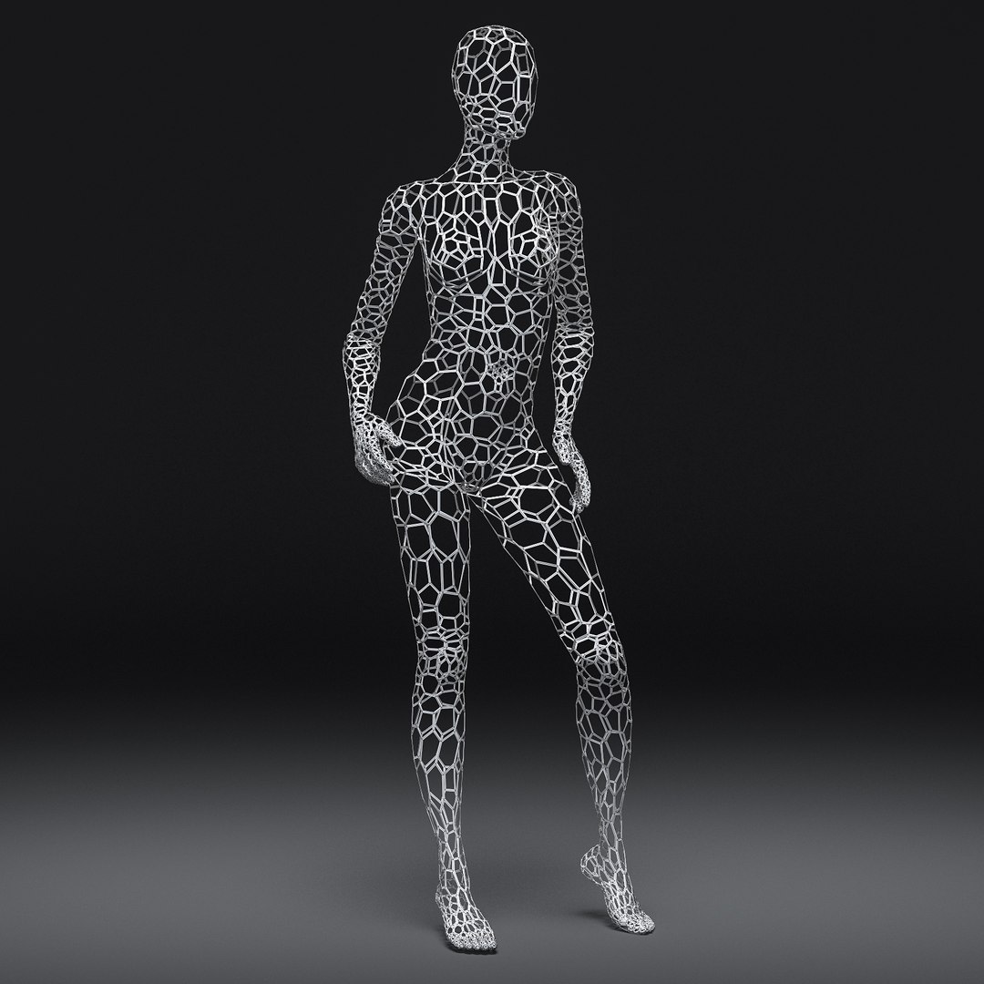 3D Model Female Wire Mannequin - TurboSquid 1173793