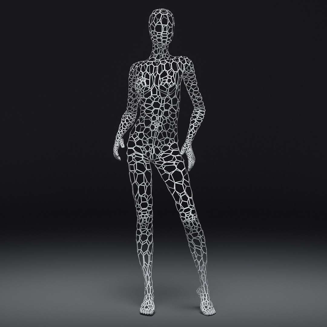 3D Model Female Wire Mannequin - TurboSquid 1173793