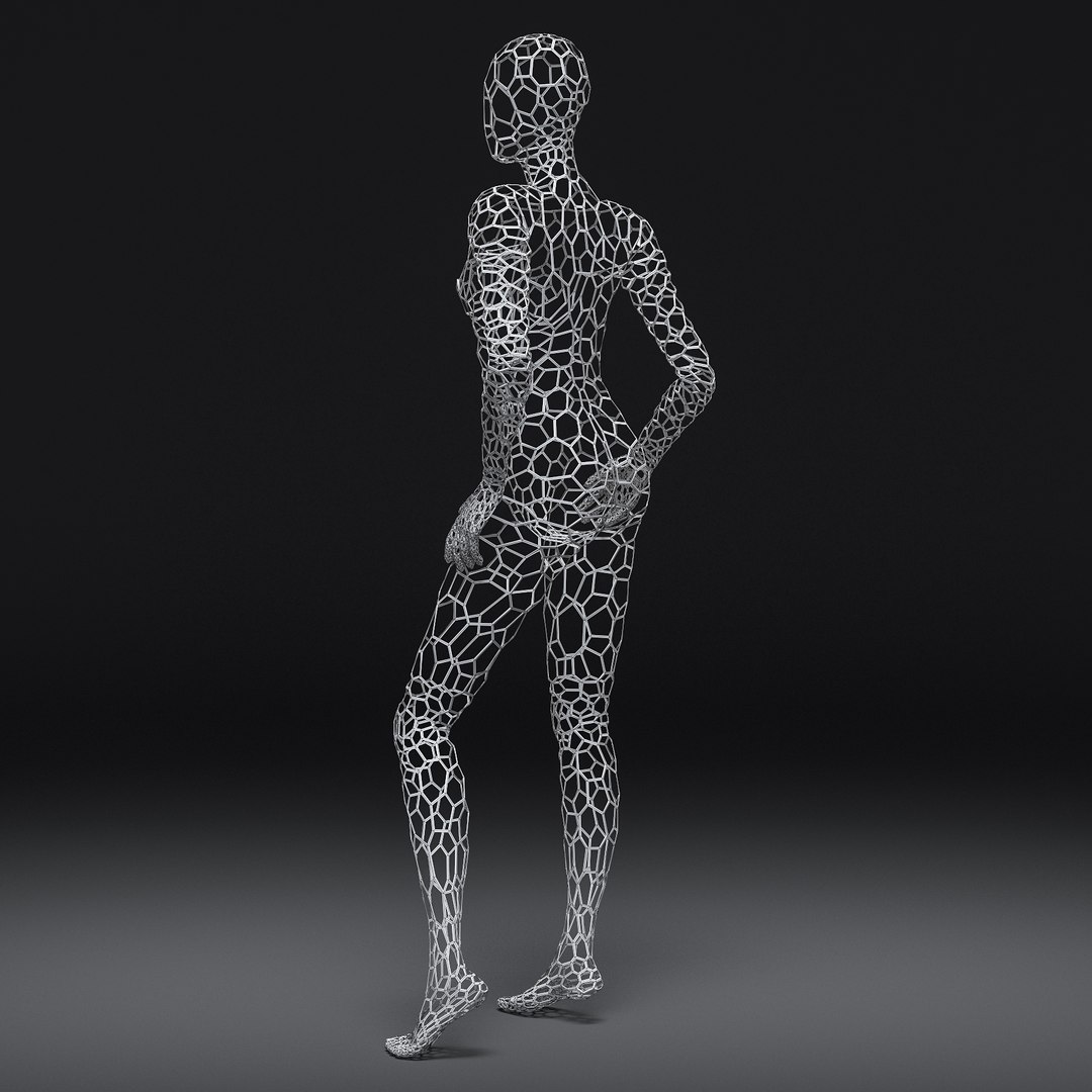 3D Model Female Wire Mannequin - TurboSquid 1173793