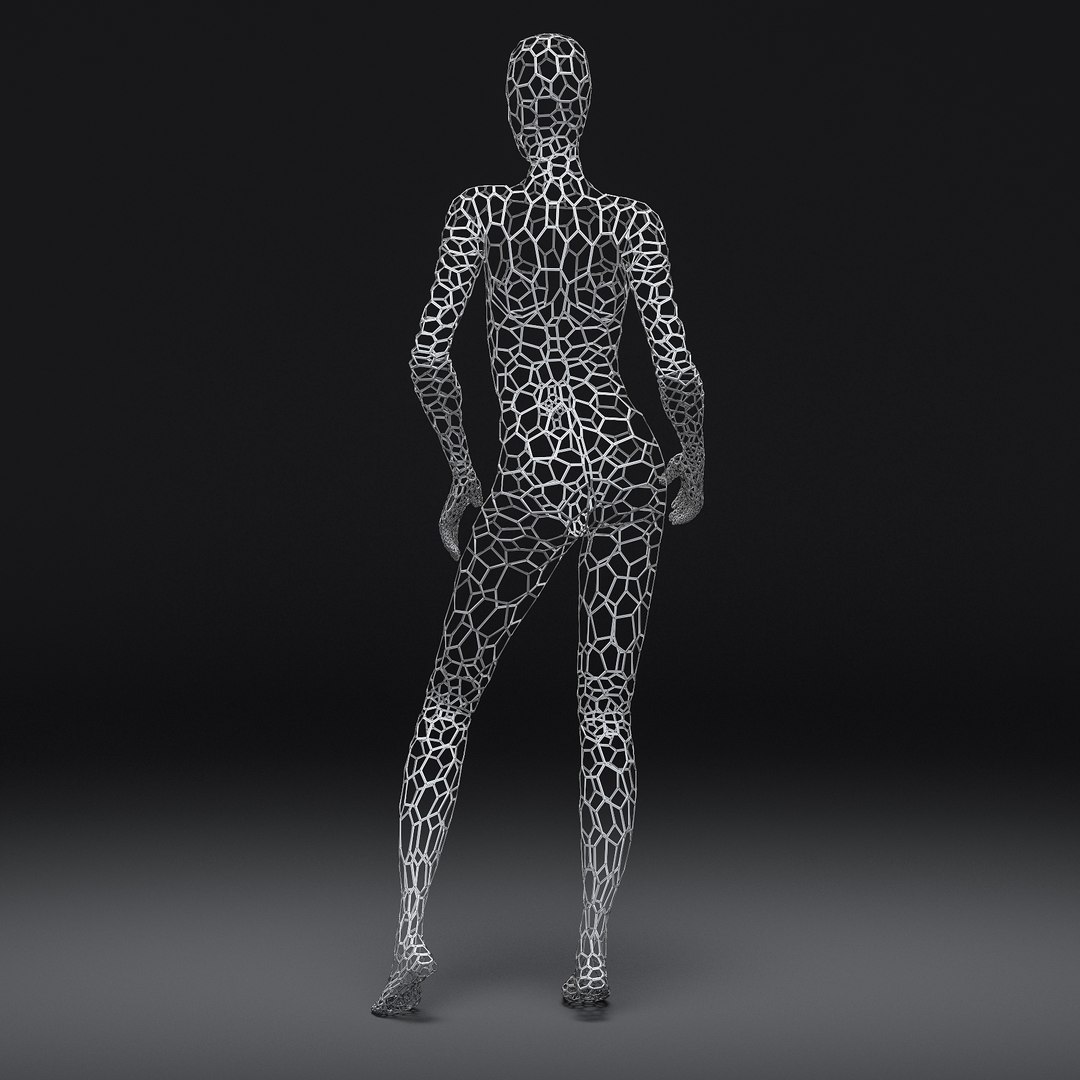 3D Model Female Wire Mannequin - TurboSquid 1173793