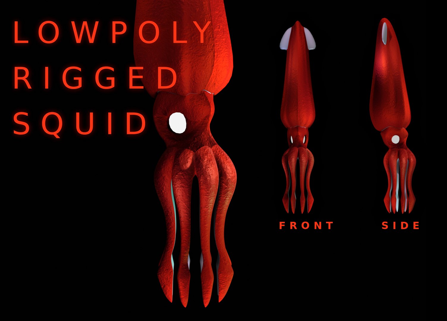 3D Model Humboldt Squid Animation - TurboSquid 1541912