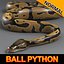 Max Normal Ball Python