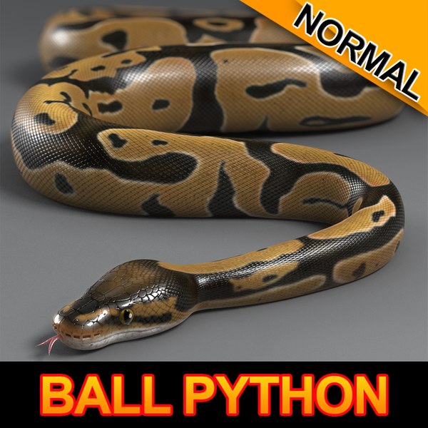 3d max albino ball python