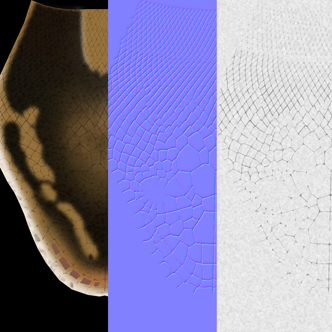 Max Normal Ball Python