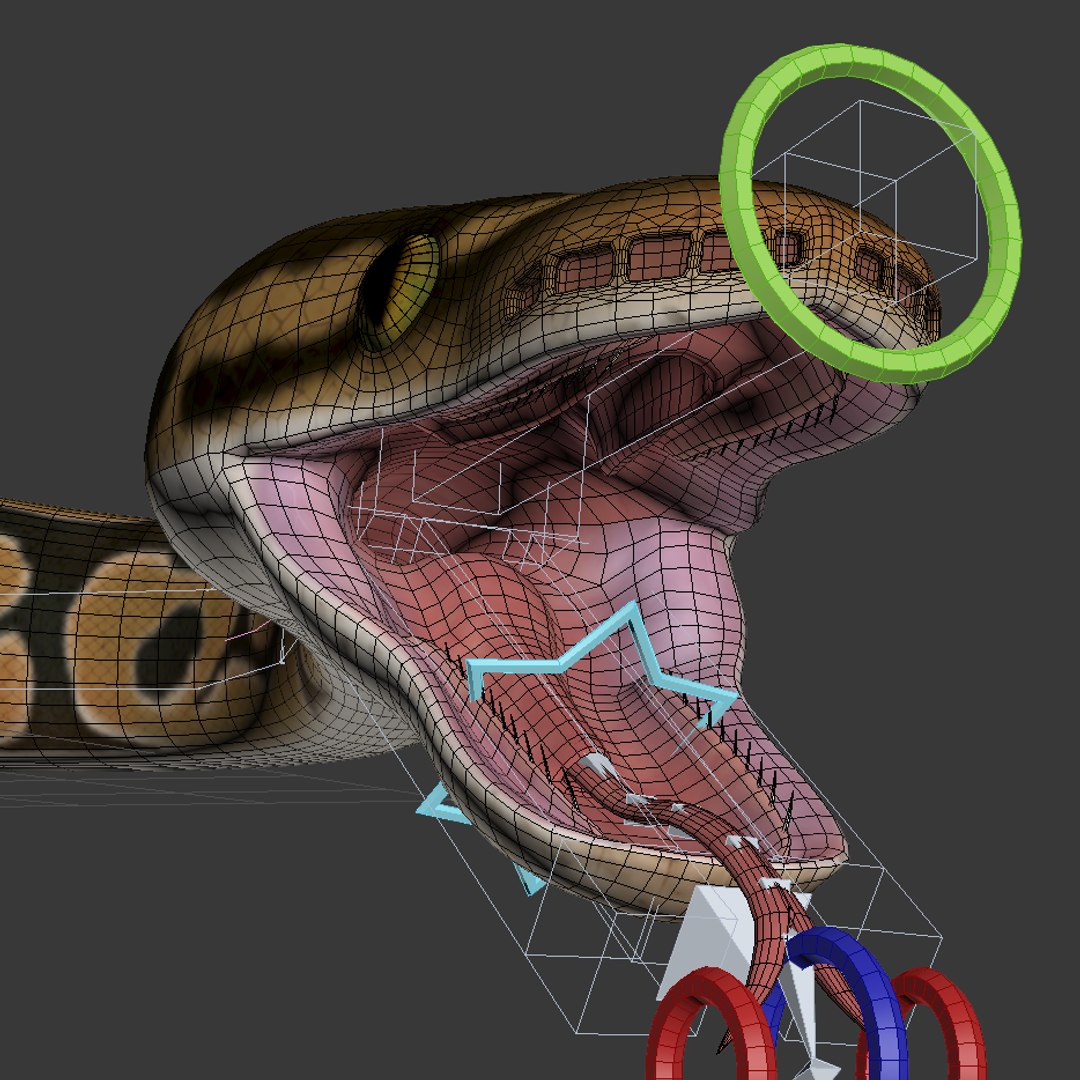 Max Normal Ball Python