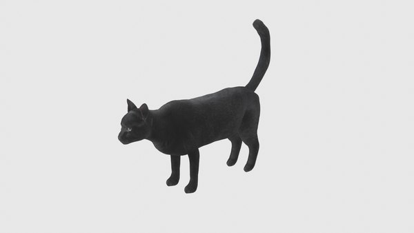 modelo 3d Gato Low Poly Rigged con textura realista - TurboSquid 1876096