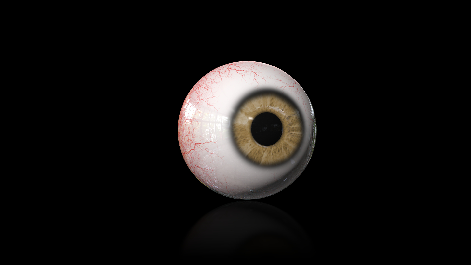 Realistic Eye Model - TurboSquid 1207668