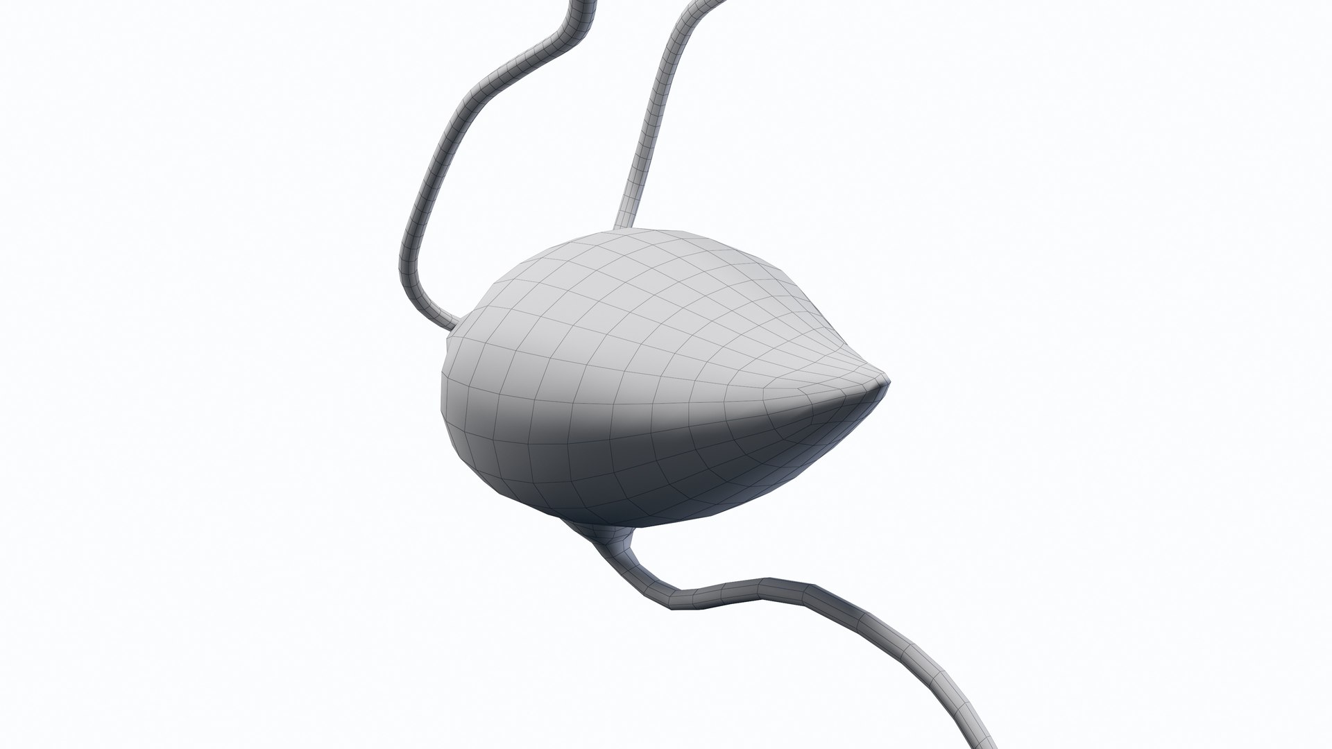 Human Urinary System 3D Model - TurboSquid 2189754