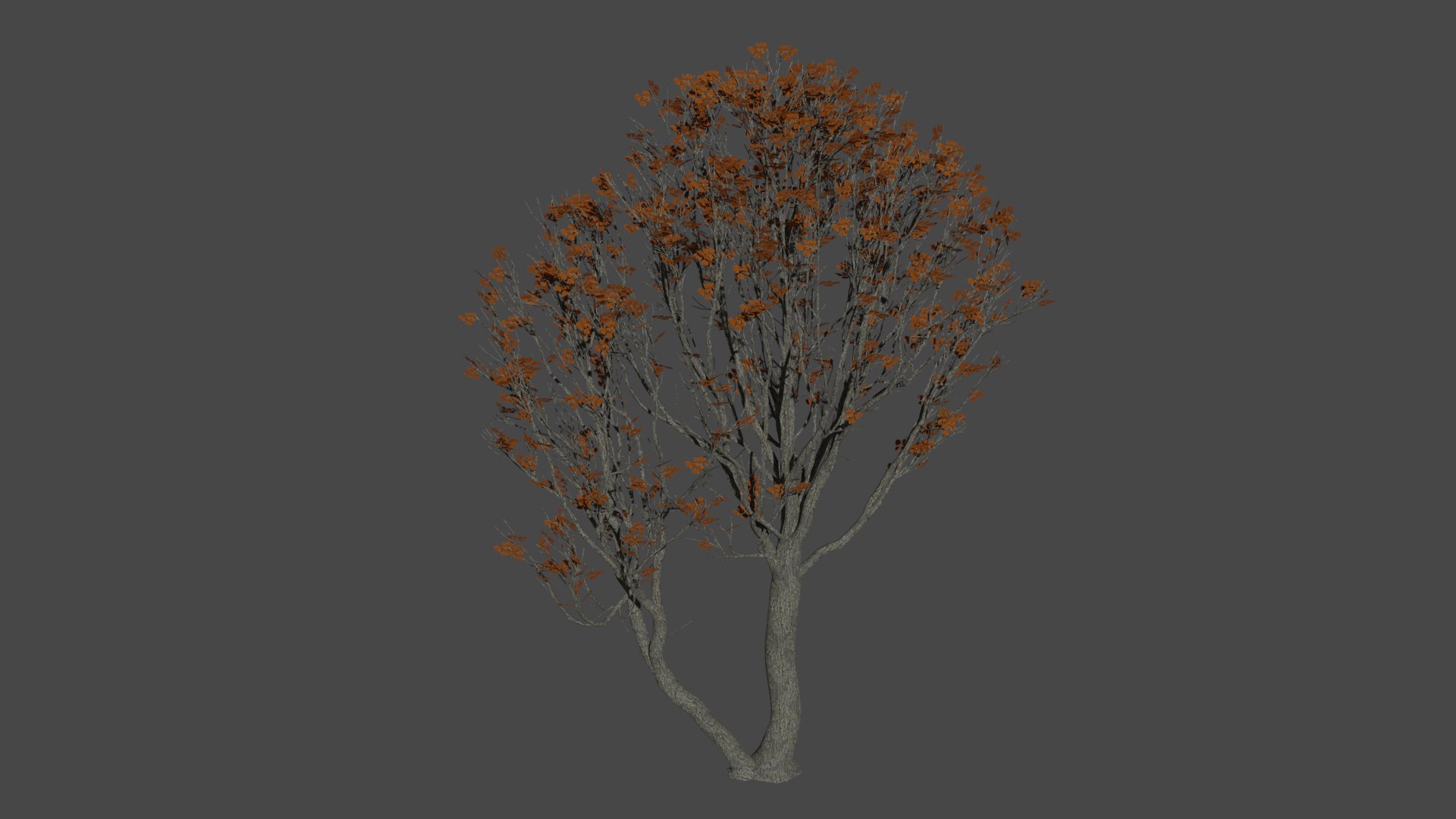 3D tree leaf - TurboSquid 1614374