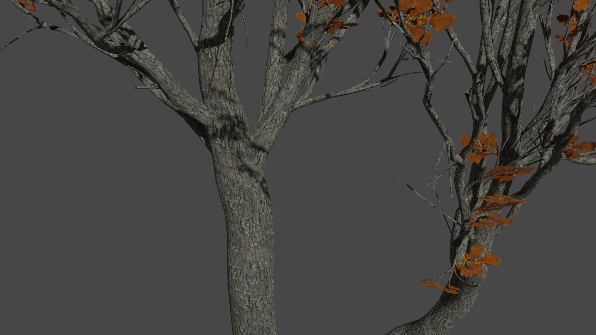 3D tree leaf - TurboSquid 1614374