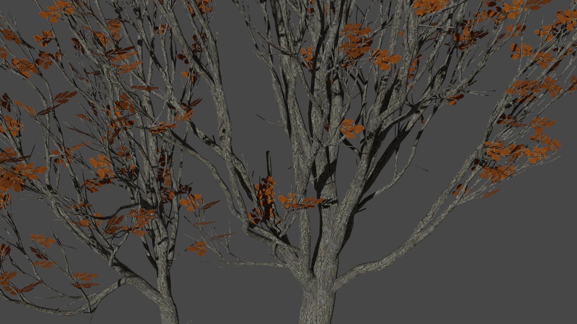 3D tree leaf - TurboSquid 1614374