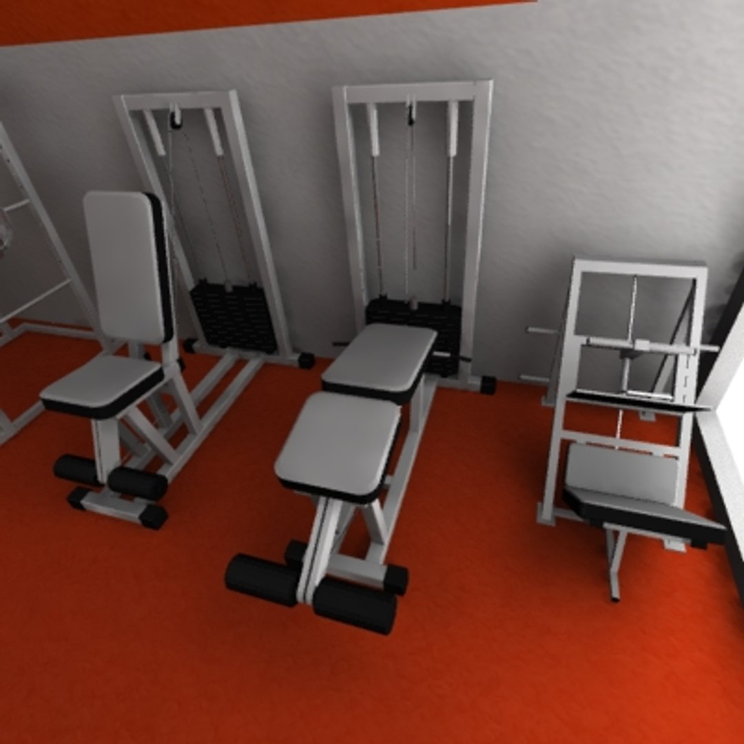3d Model Of Gym Fitness