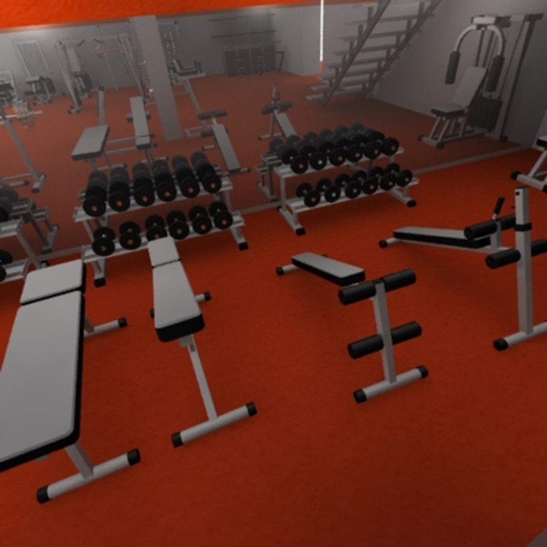 3d Model Of Gym Fitness