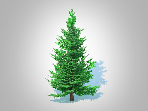 modelo 3d Abies fraseri- Abeto Fraser - Pequeño - TurboSquid 2325598