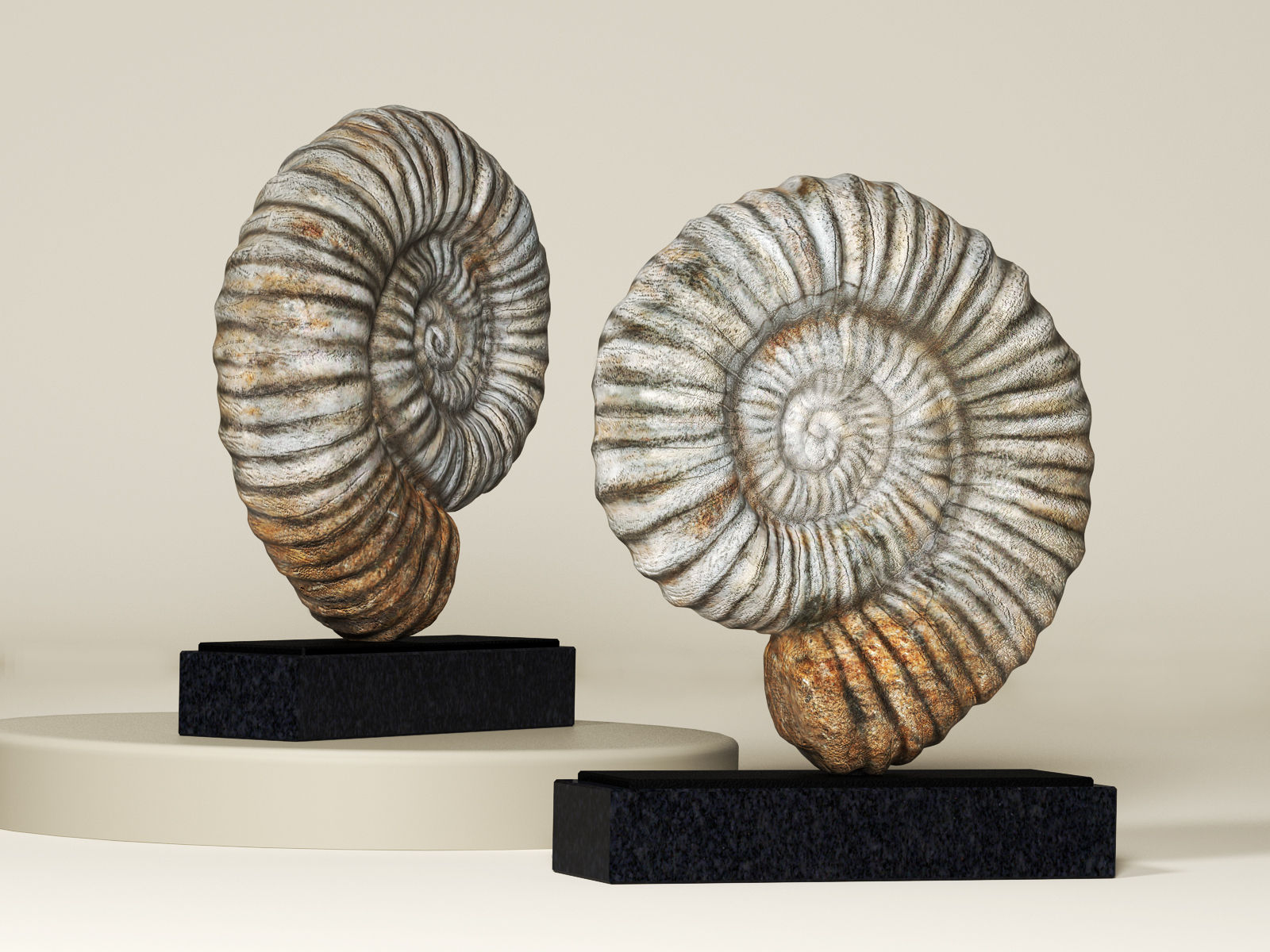 3D fossil iron-marble shell sculpture model - TurboSquid 1226067
