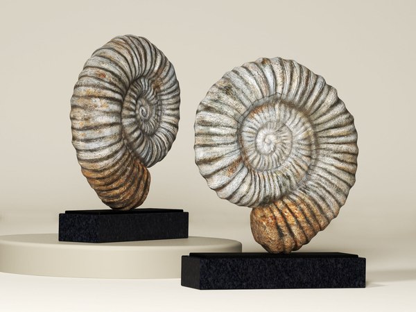 3D fossil iron-marble shell sculpture model - TurboSquid 1226067