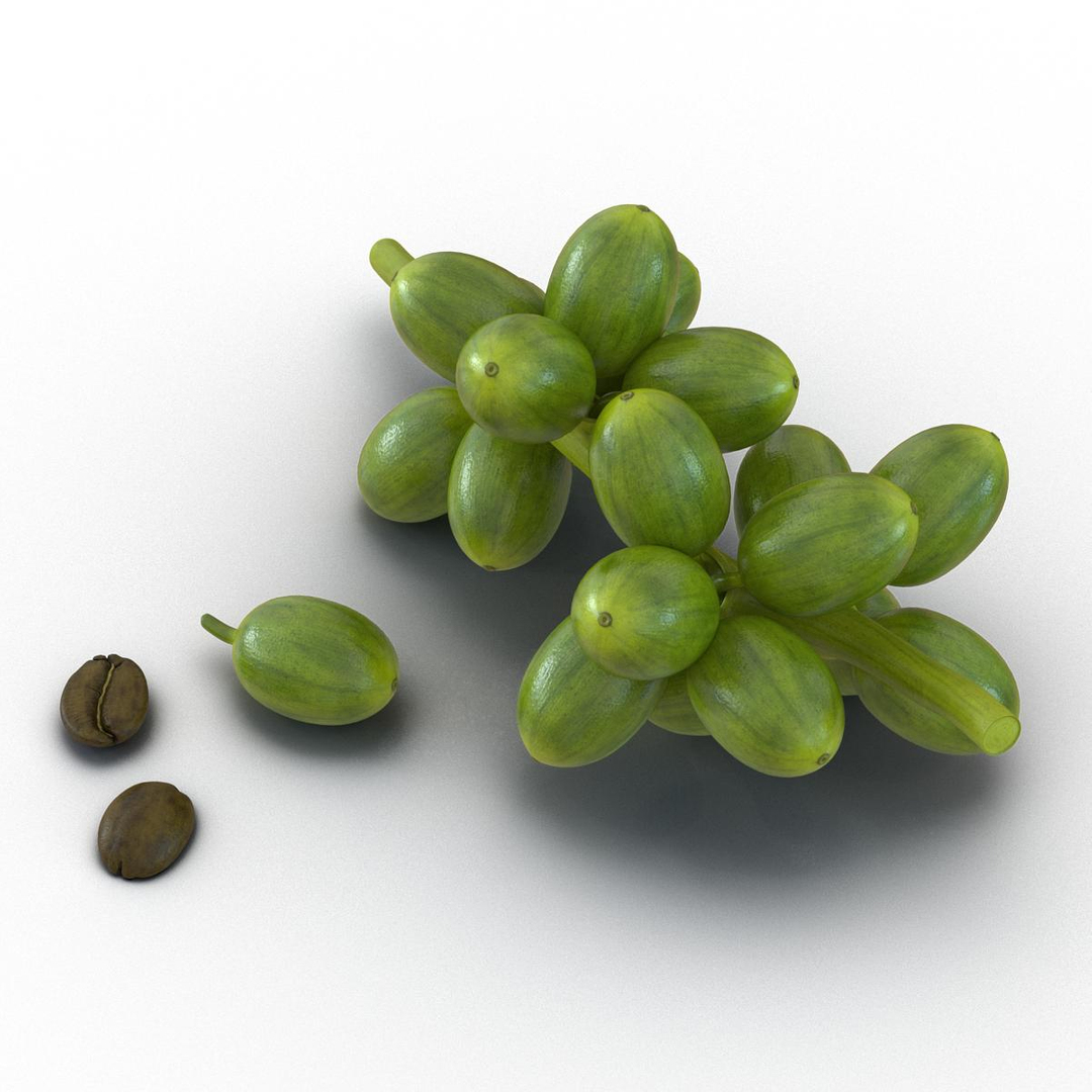 green coffee 3d max