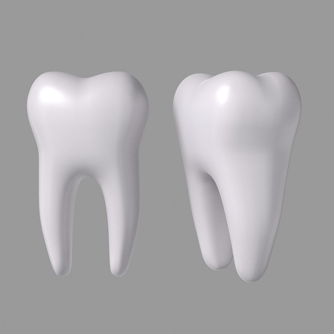 3D Model Tooth - TurboSquid 1336237