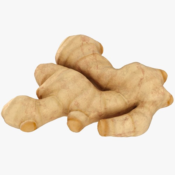 3D model realistic raw ginger root - TurboSquid 1567187