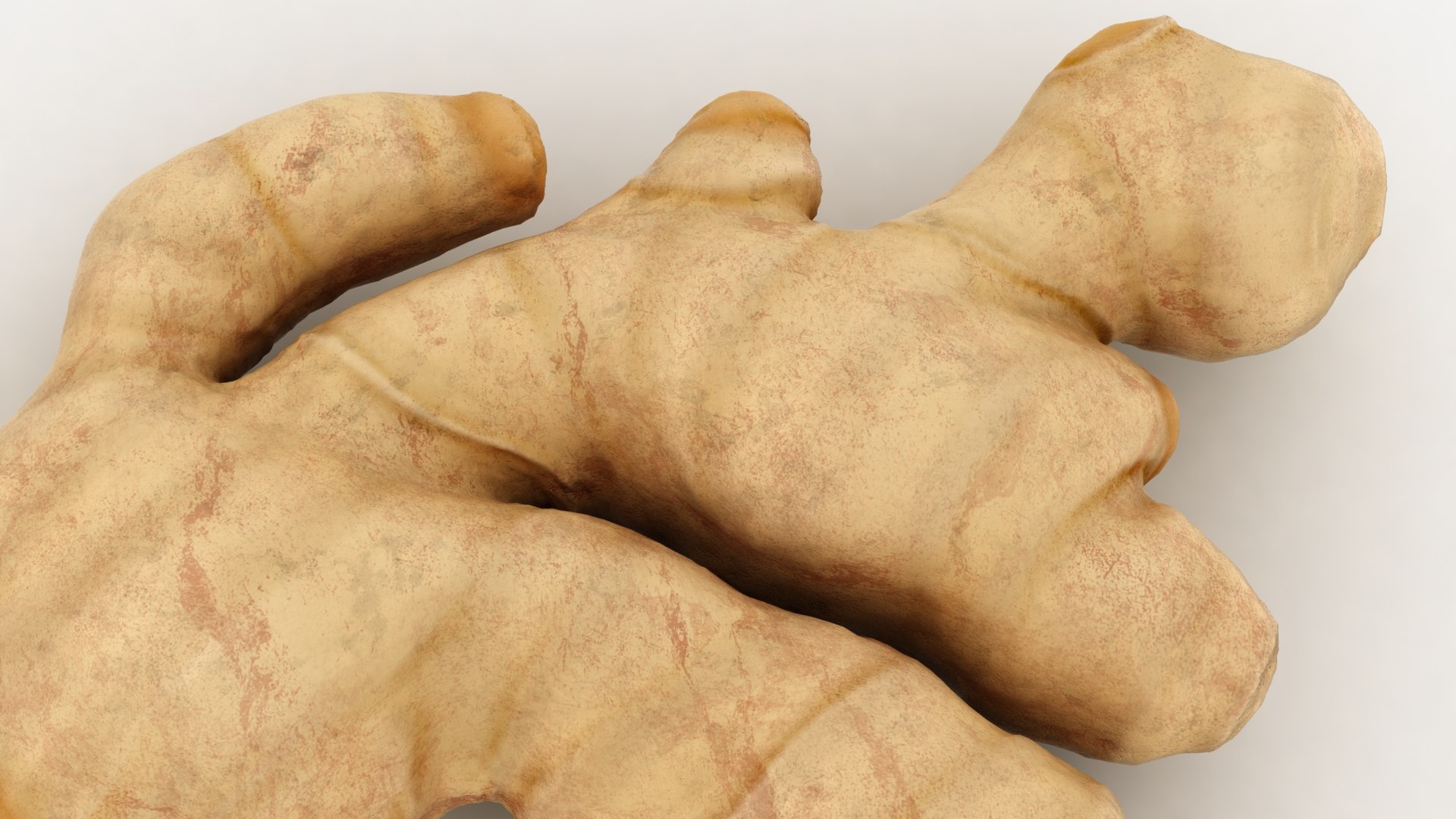 3D Model Realistic Raw Ginger Root - TurboSquid 1567187