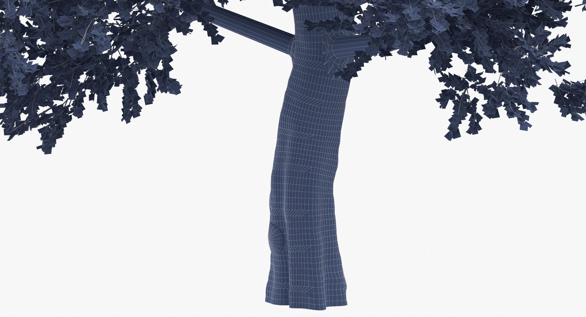 White Oak Tree 3D Model - TurboSquid 1874874
